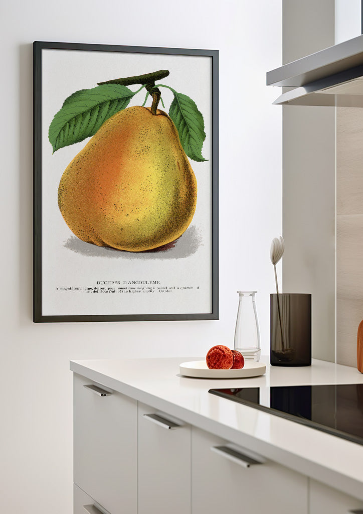 Pear Poster to Decorate Your Kitchen Walls | Free Shipping – Posterist