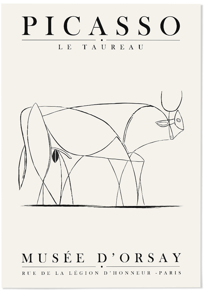 Picasso Bull Drawings